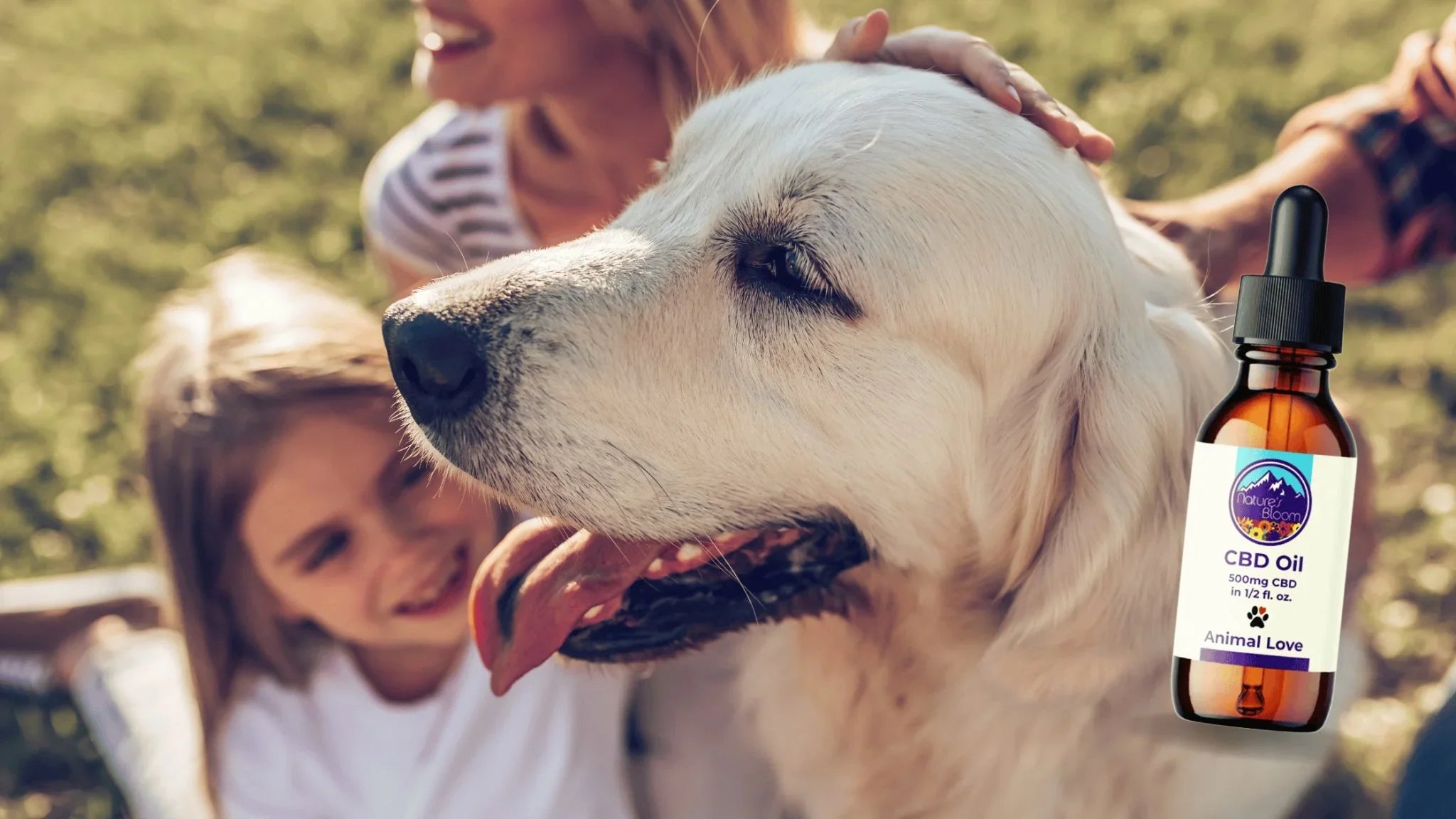 CBD for Pets: A Natural Path to Better Health and Happiness – Nature's ...
